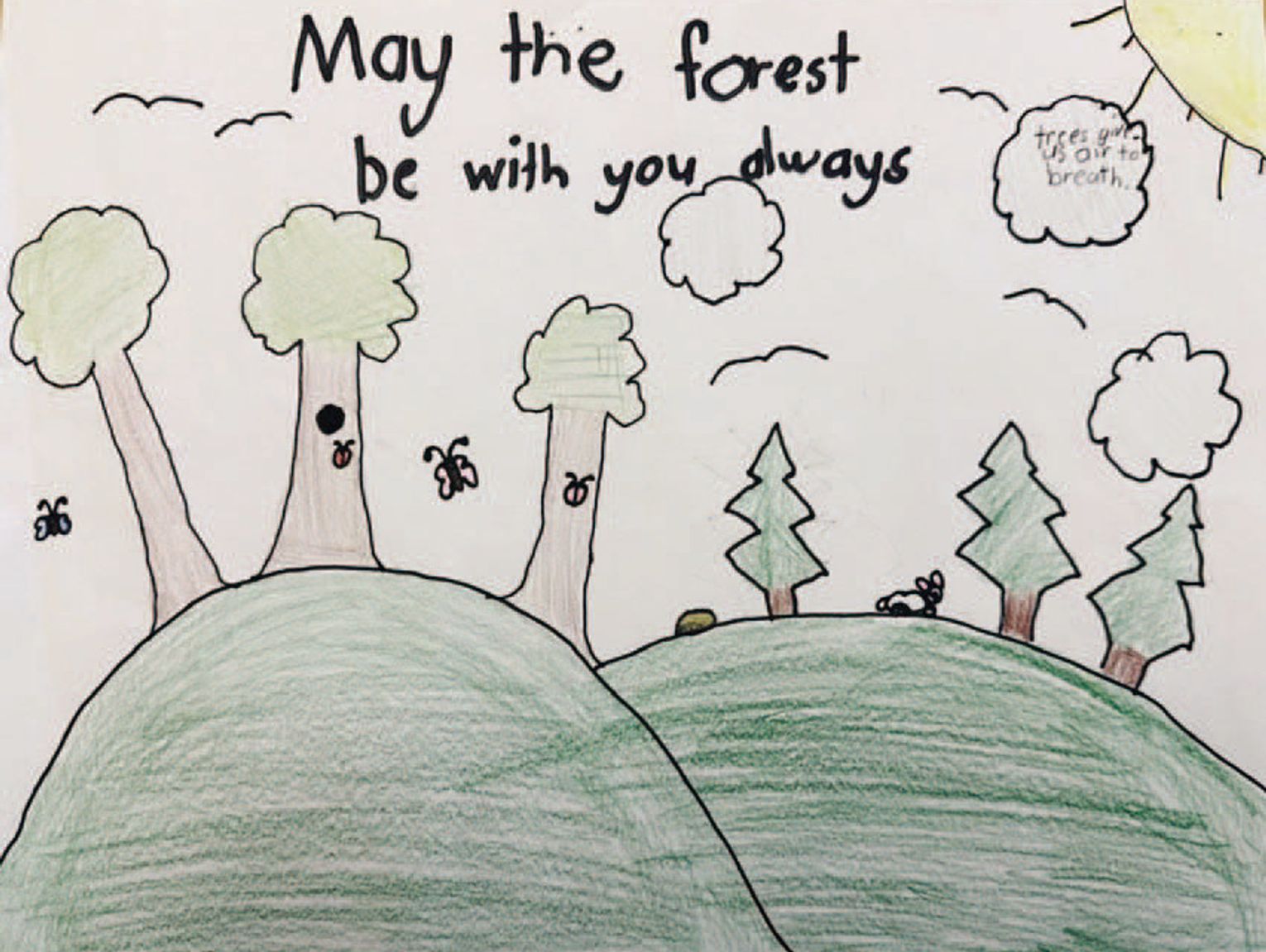 2024 NACD Poster Contest winners announced