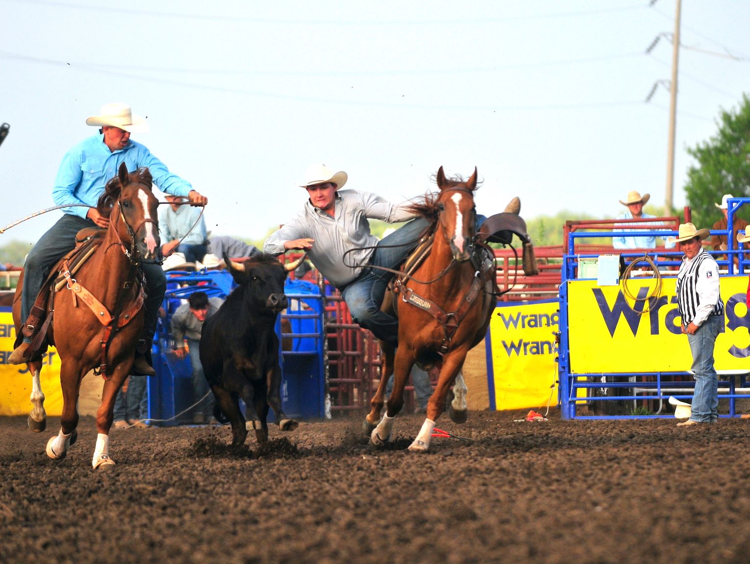Photo Gallery - Cedar County Fair Rodeo